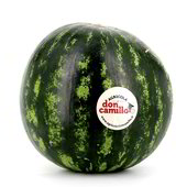 Homepage | Pewex Spesa Online